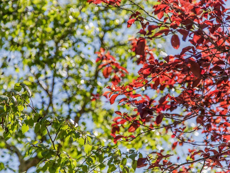 1 Hill View Road, Bridgewater, SA 5155 - Property Details