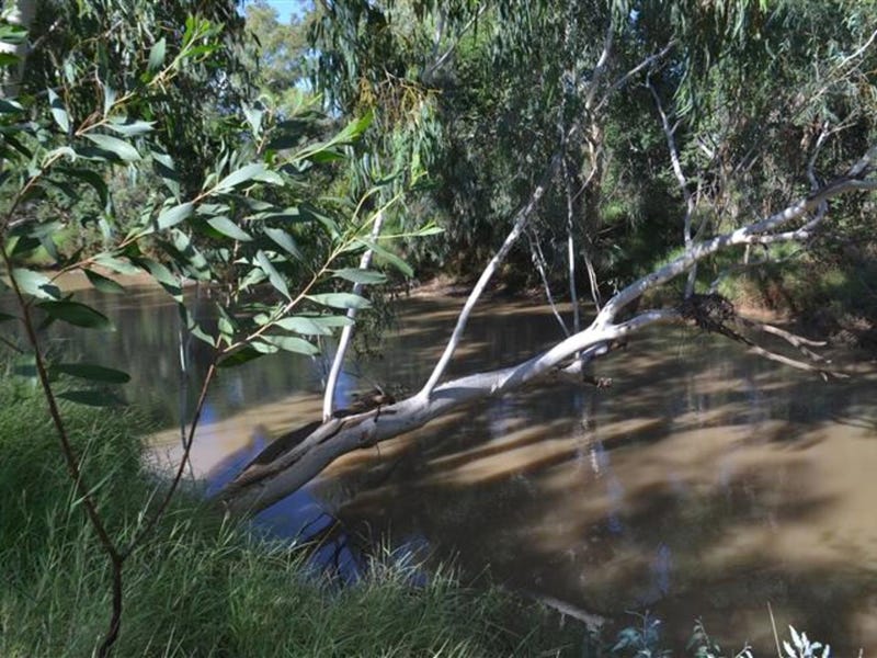 "Holmleigh" Prairie Muttaburra Road, Prairie, Qld 4821 - Property Details