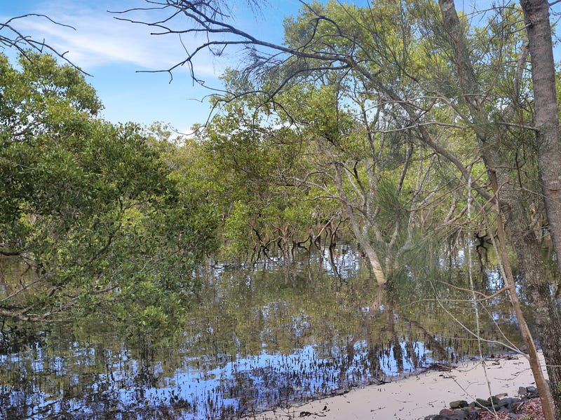 8 Myall Street, Pindimar, NSW 2324 - Property Details