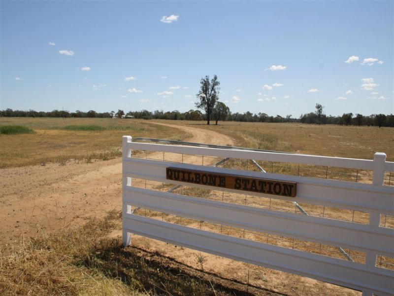 11677 Merri Merri Way, Coonamble, NSW 2829 - Property Details