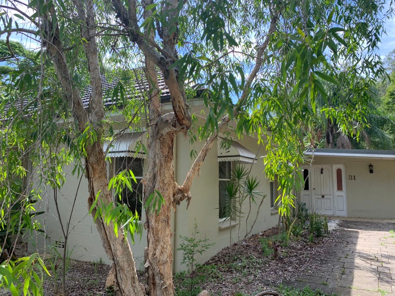 31 Musgrave Street, Fig Tree Pocket, QLD 4069 - realestate.com.au