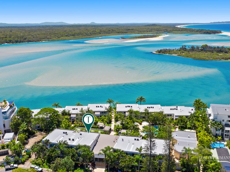 66/6 Quamby Place, Noosa Heads, QLD 4567 - realestate.com.au