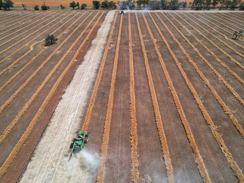 353 Fifield-trundle Road, Trundle, NSW 2875 - realestate.com.au