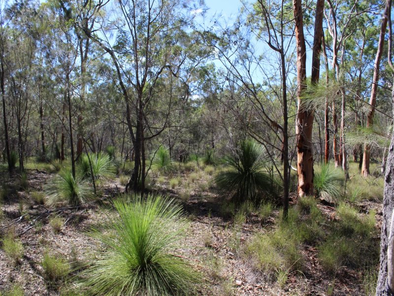 Lot 21 Ridge Road, Durong, QLD 4610 - realestate.com.au
