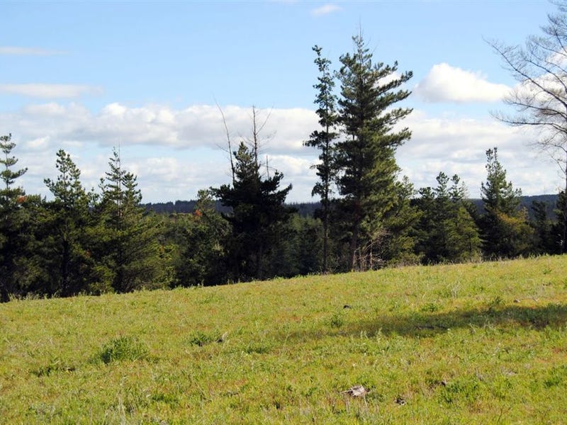 Lot 208 Nabaroo Rd, Cowalla, WA 6503 - Property Details