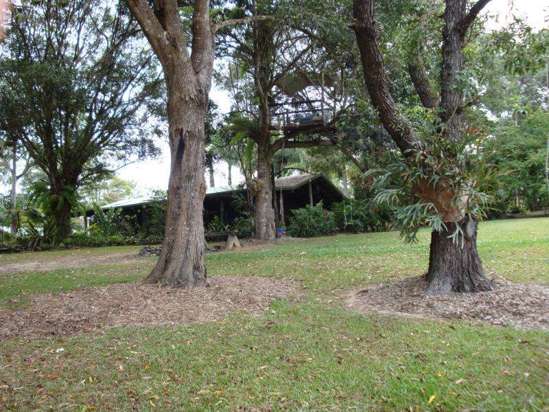Property 105381977, Julatten, Qld 4871 - Property Details