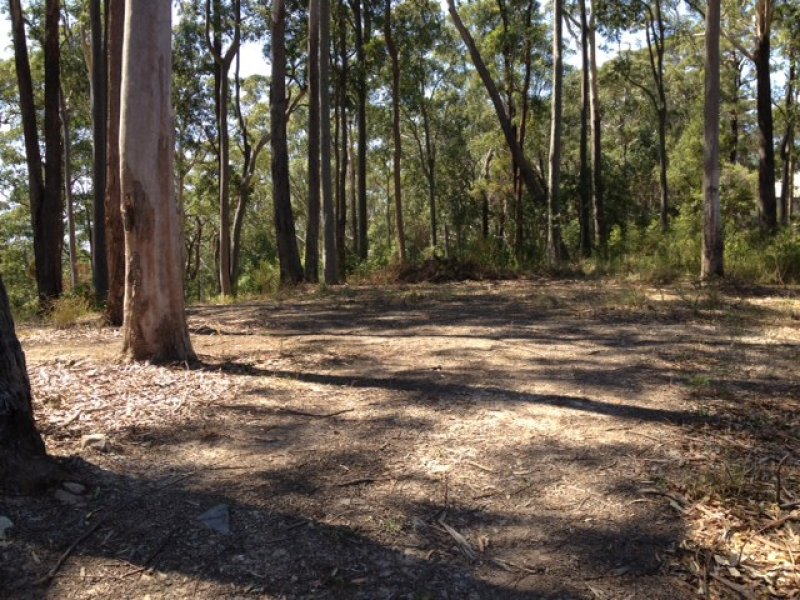 61 First Ridge Road, Smiths Lake, NSW 2428 - realestate.com.au