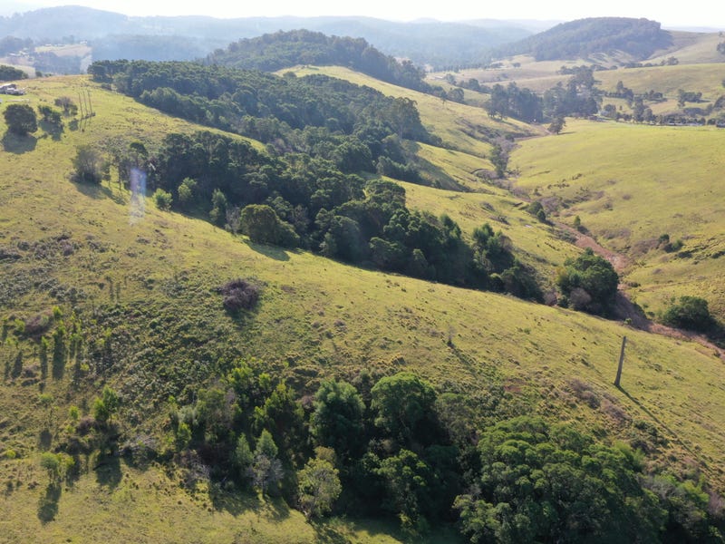 Lot 193 Fourter Road, Nethercote, NSW 2549 - Lifestyle for Sale ...