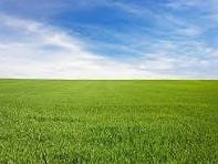 49 Craft Street, Officer, VIC 3809 - realestate.com.au