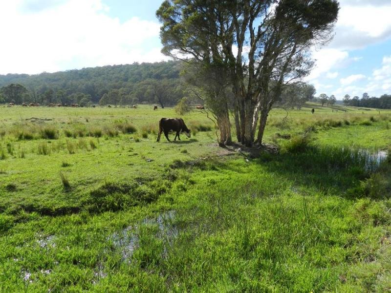 420 Putty Valley Road, Putty, NSW 2330 - realestate.com.au