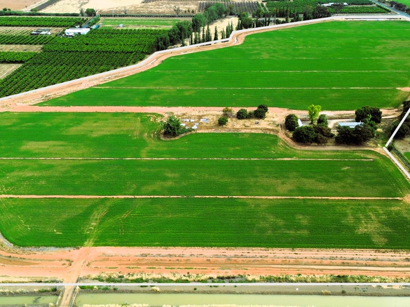 4 Bedroom Properties for Sale in Cobram, VIC 3644 - realestate.com.au