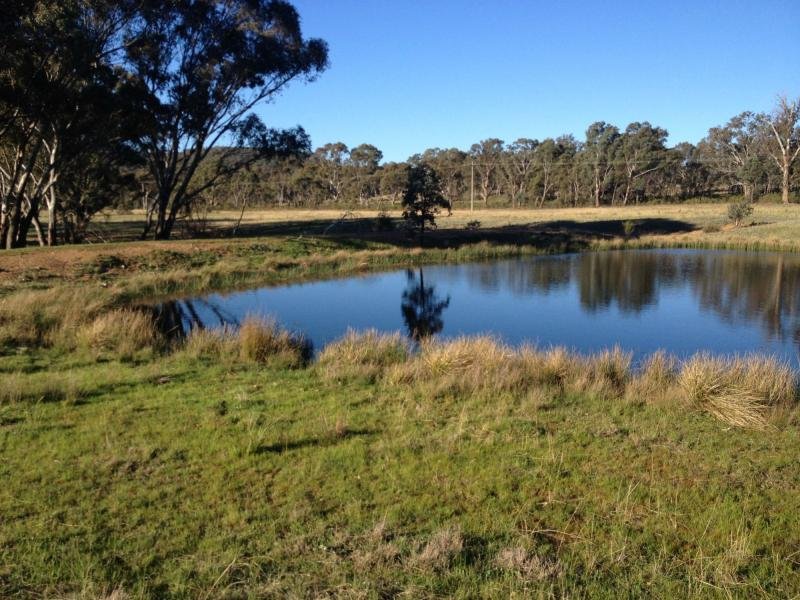 L53 & 54 Pyangle Road, Rylstone, NSW 2849 - Property Details