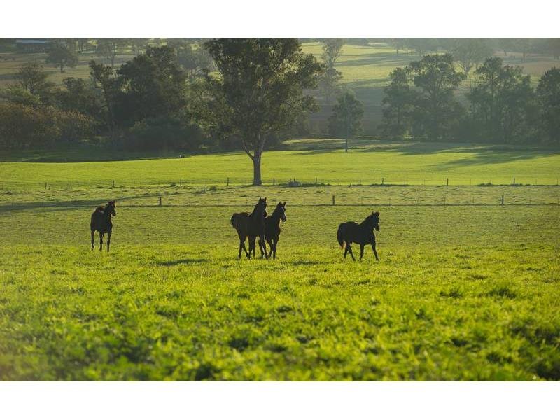 565 Middlebrook Road, Scone, NSW 2337 - Property Details