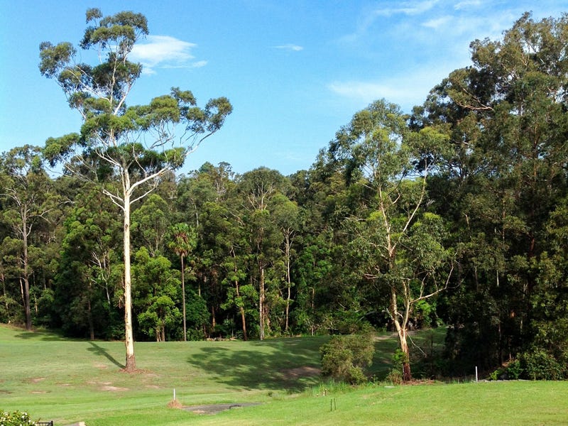 Real Estate & Property for Sale in Taree - Greater Region, NSW (+1 ...