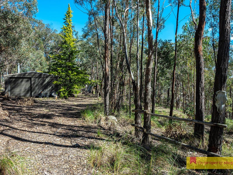 156 Triangle Swamp Road, Mudgee, NSW 2850 - Property Details