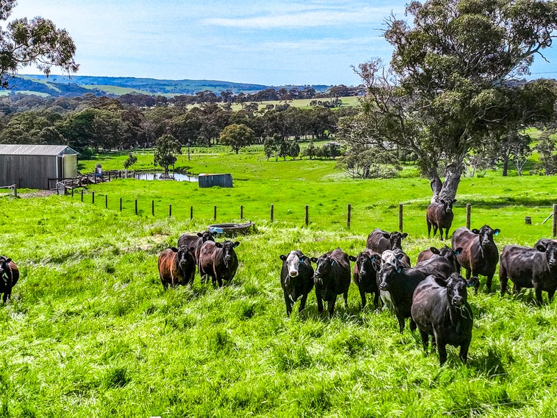 1615 Inman Valley Road, Inman Valley, SA 5211 - realestate.com.au