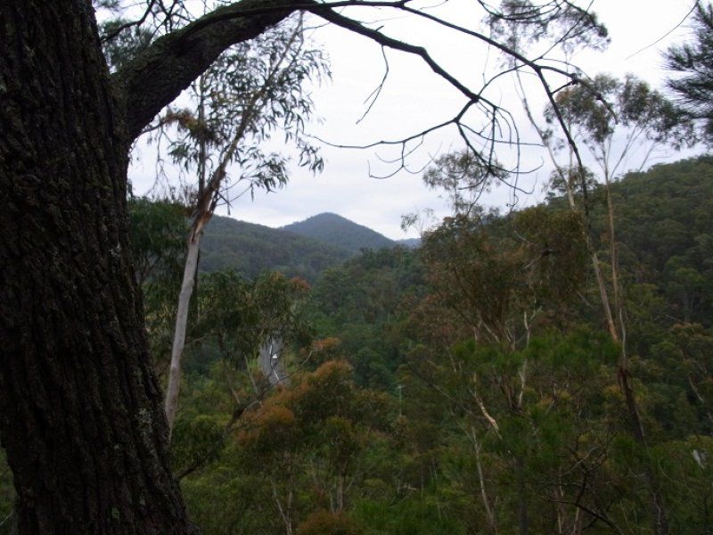 L963 Mt Darragh Road, Lochiel, NSW 2549 - Property Details