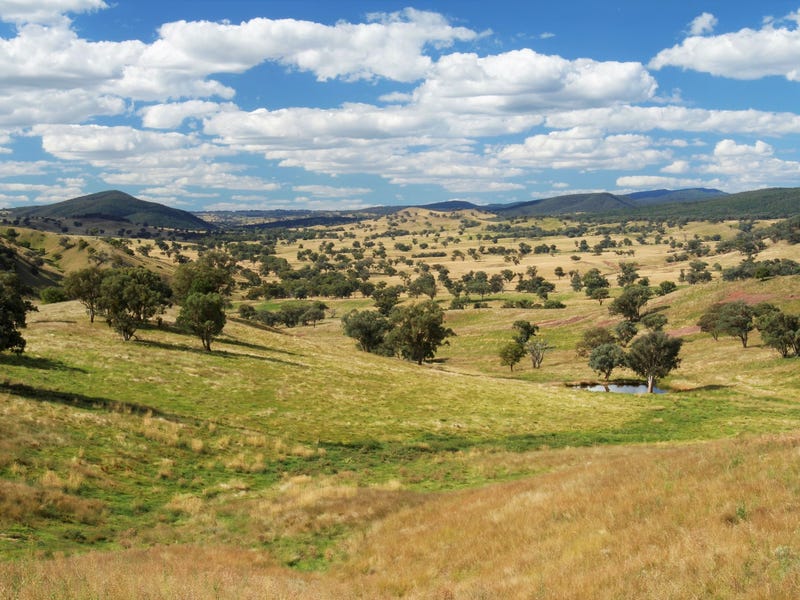Sold Rural Prices & Auction Results in Cudal, NSW 2864 - realestate.com.au