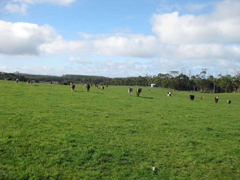 . Chequers Road, Marrawah, Tas 7330 - Property Details