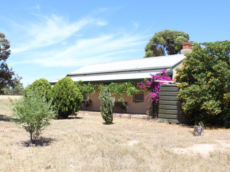 163 Hills Road, Robertstown, SA 5381 - Property Details