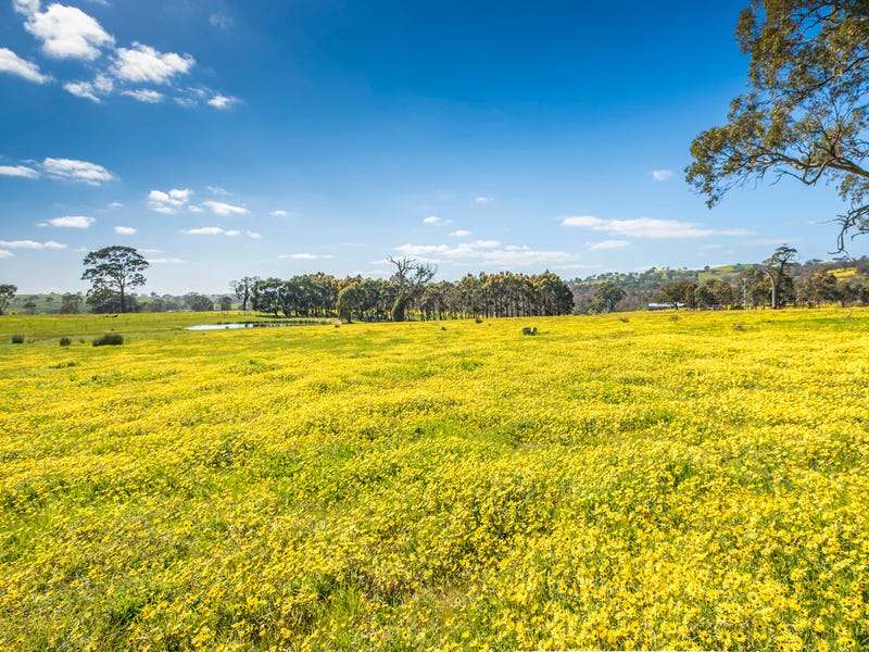 29 David Drive, Taradale, VIC 3447 - realestate.com.au