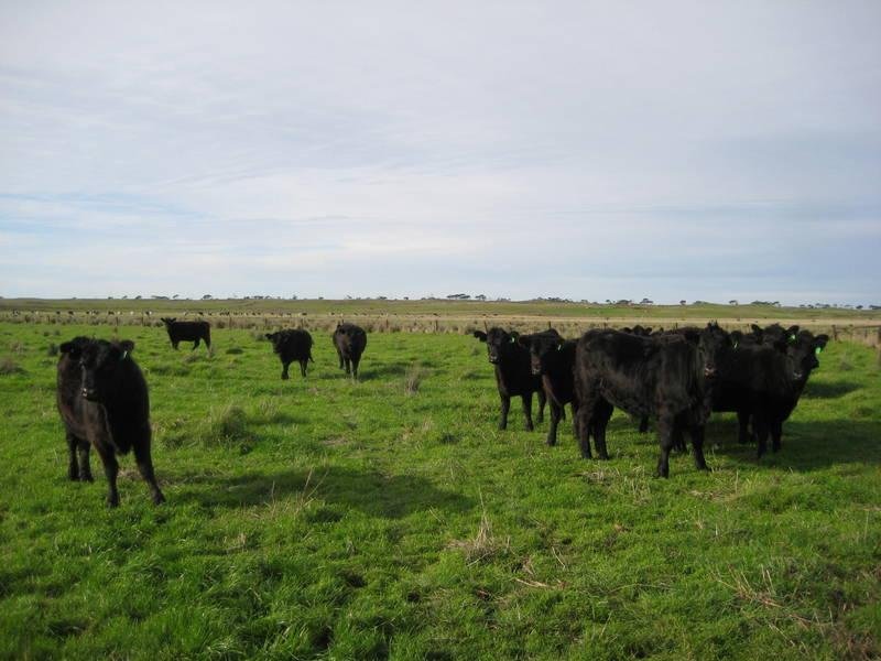 410 Gapes Road, Tarrone, Vic 3283 - Property Details