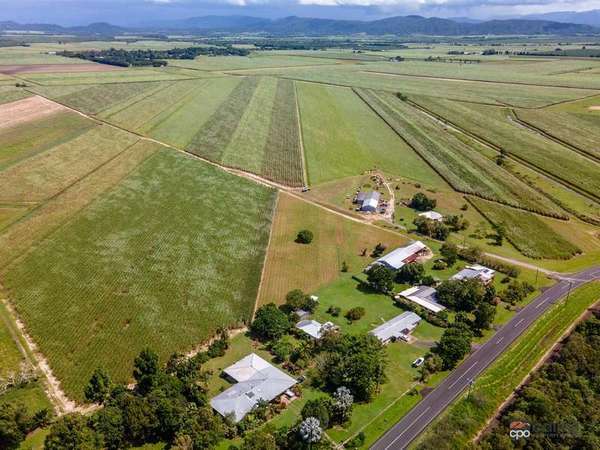 322 Mourilyan Harbour Road, Mourilyan, Qld 4858 - Cropping for Sale ...