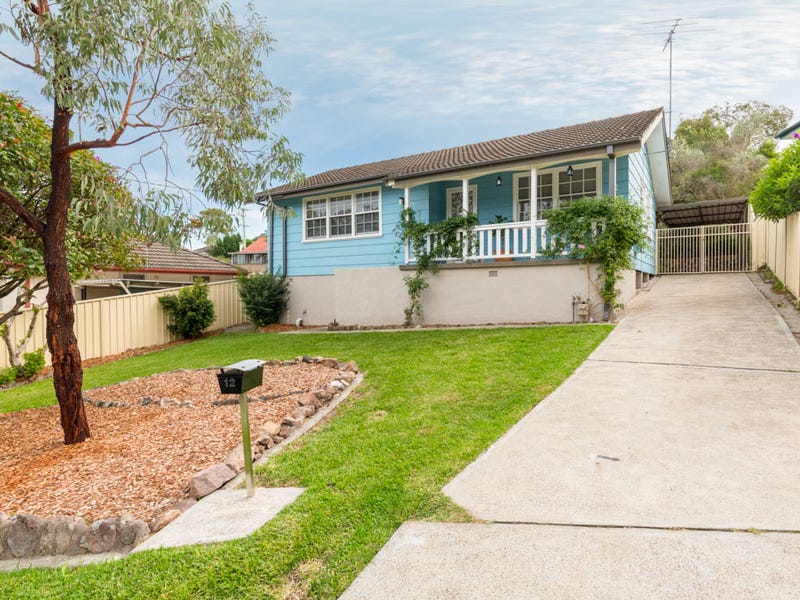 12 Bean Street, Gateshead, NSW 2290 - realestate.com.au