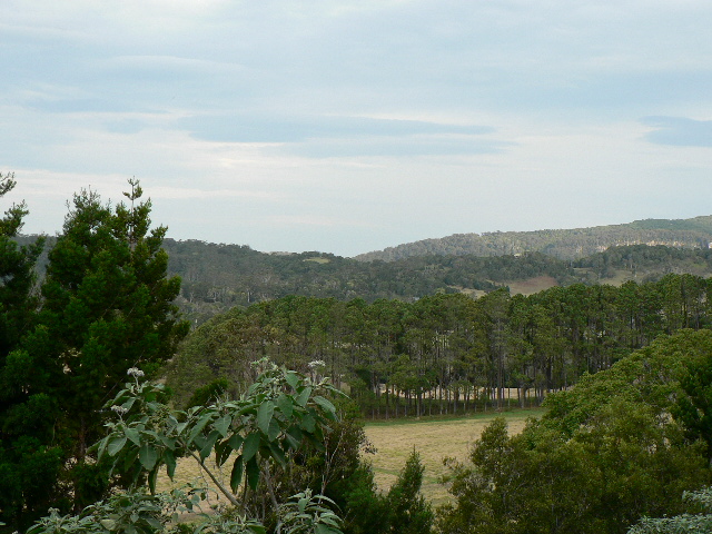 59 Lyrebird Ridge Road, Springbrook, QLD 4213 - realestate.com.au