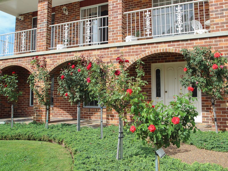 4 Lloyd Jones Drive, Singleton, NSW 2330 - Property Details
