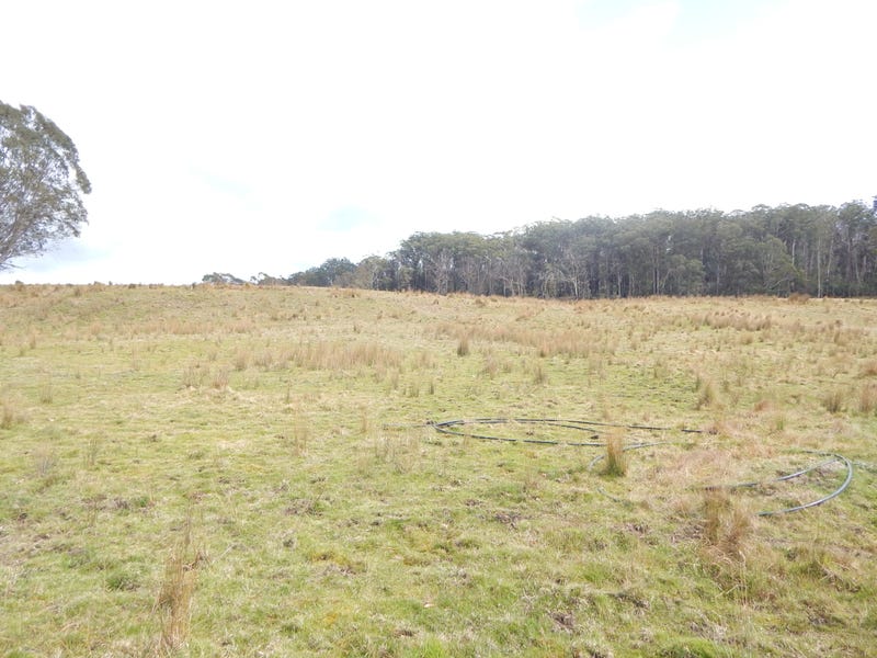 Lot 102, Badja Road, Countegany, NSW 2630 - Other for Sale - realestate ...