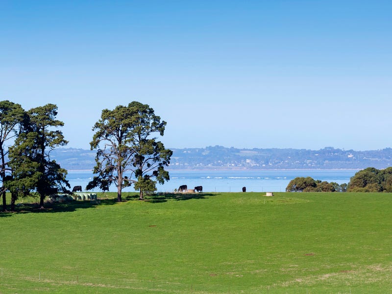 50 Stanleys Road, Merricks North, VIC 3926 - realestate.com.au