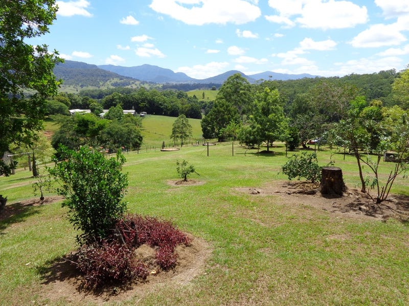 43 Tyalgum Ridge Road, Tyalgum, NSW 2484 - realestate.com.au