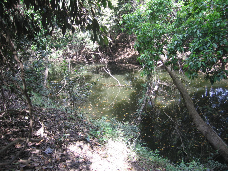 Property 7480903, Bajool, Qld 4699 - Property Details