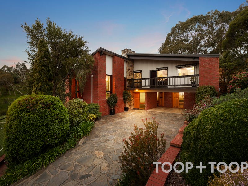 19 Pellew Avenue, Auldana, SA 5072 - House for Sale - realestate.com.au