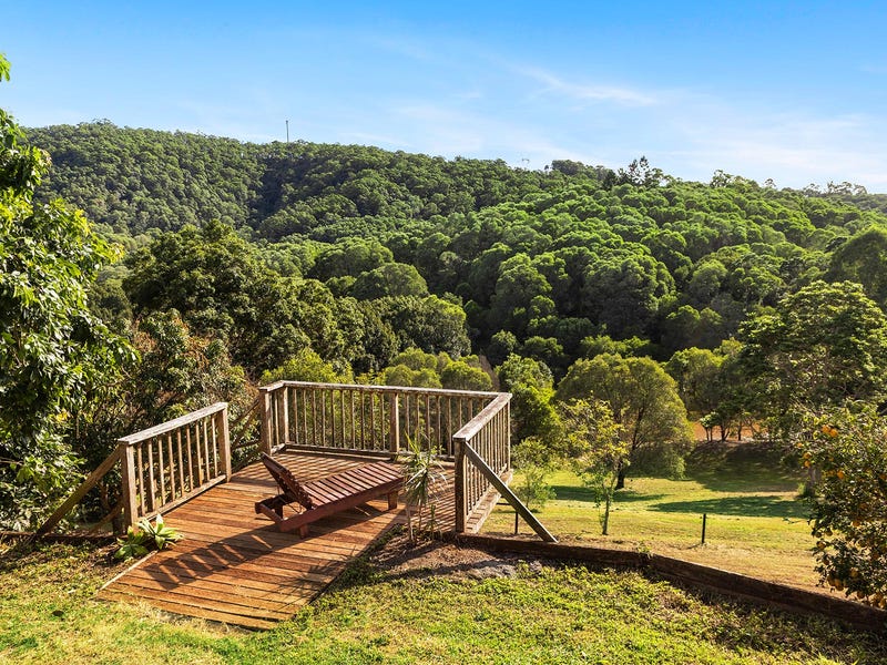 18 Brush Box Lane, Federal, QLD 4568 - realestate.com.au