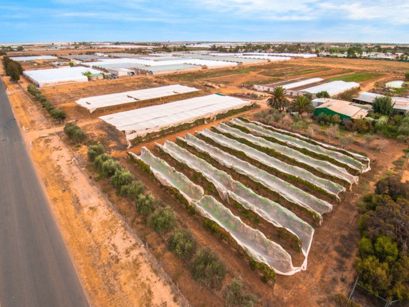 60 Ryan Road, Waterloo Corner, SA 5110 - realestate.com.au