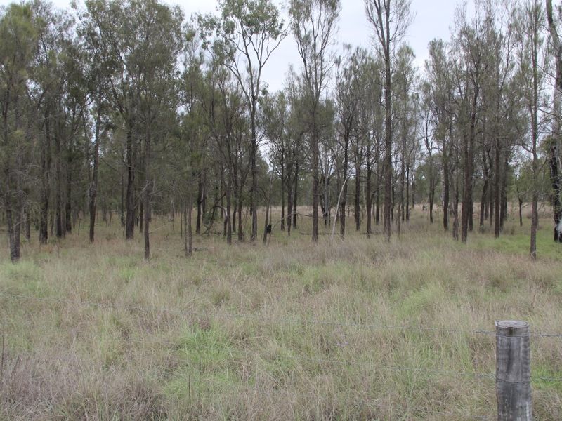 Property 7996330, Durong, Qld 4610 - Property Details