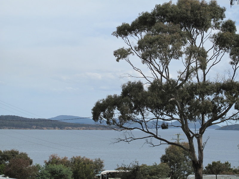 16 Boobyalla Street, Primrose Sands, TAS 7173 - realestate.com.au