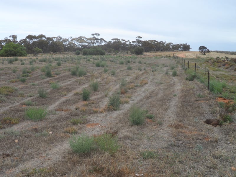 Property 7946634, Moorook, SA 5332 - Property Details