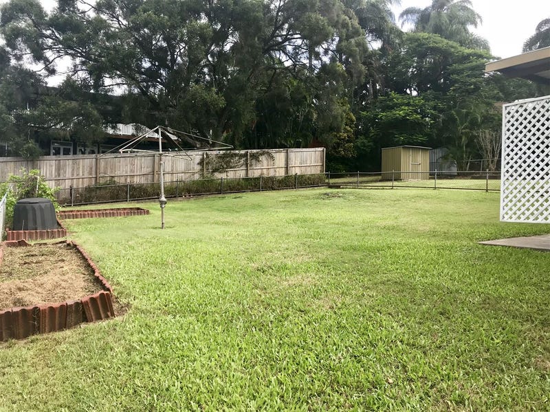 19 Aloomba Street, Balmoral, QLD 4171 - realestate.com.au