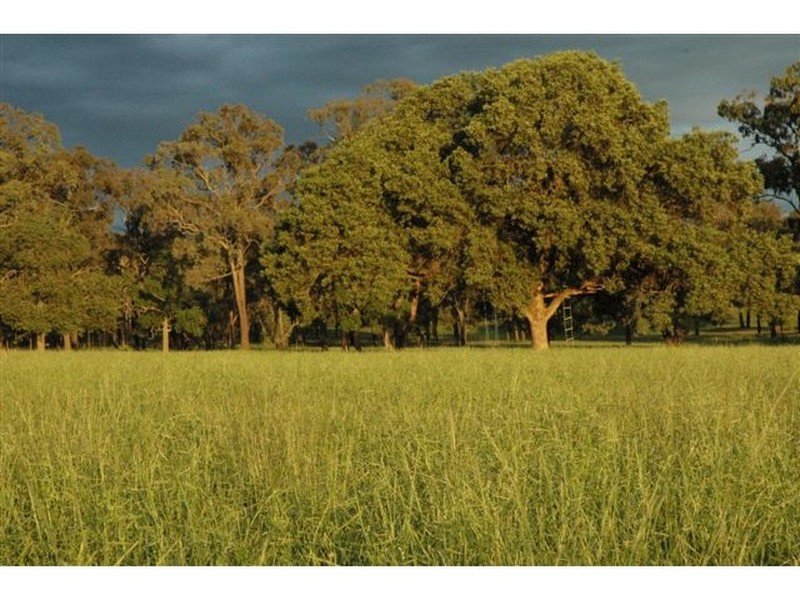 Middlebrook Drive, Scone, NSW 2337 - Property Details