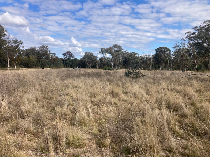 285 Bourke Road, Neilrex via, Coolah, NSW 2843 - Property Details