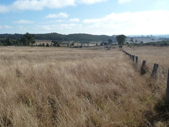 LOTS 81, 8 Lambing Hill Road, Goolma, NSW 2852 - Property Details