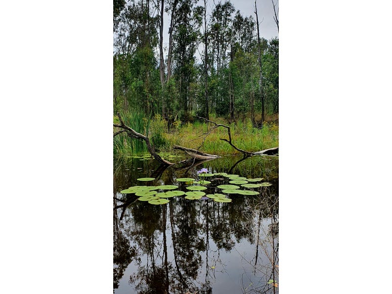 Lot 93 Bailey Street, Rappville, NSW 2469 - Lifestyle for Sale ...