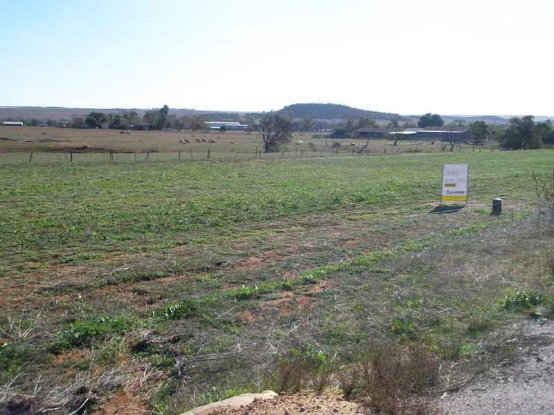 33 Green Drive, Nabawa, WA 6532 - realestate.com.au