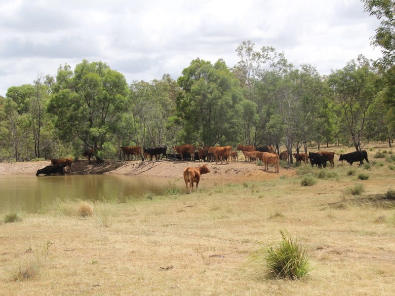 Property 7947030, Ballogie, Qld 4610 - Property Details