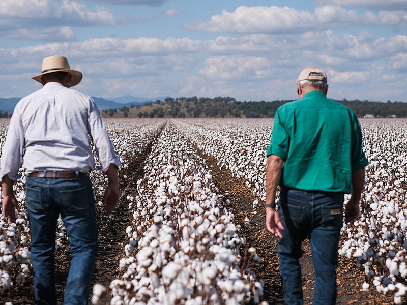 1118 Warrah Ridge Road, Quirindi, NSW 2343 - Property Details