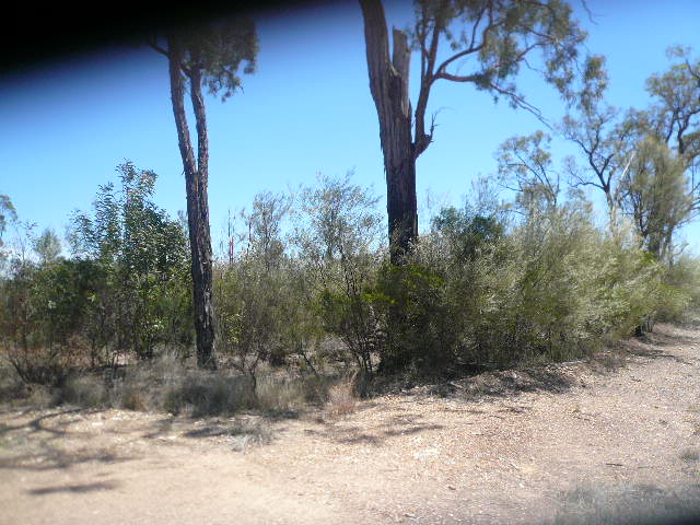 LOT 1 OLD TARA ROAD, Tara, Qld 4421 - Property Details