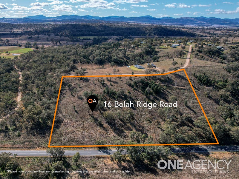 16 Bolah Ridge Road, Quirindi, NSW 2343 - realestate.com.au